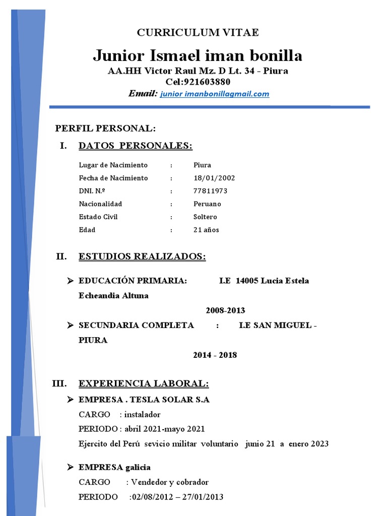 Curriculum Vitae Junior Ismael Iman Bonilla | PDF