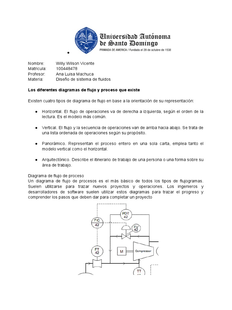 DSF 1.0DiagramaFlujo | PDF