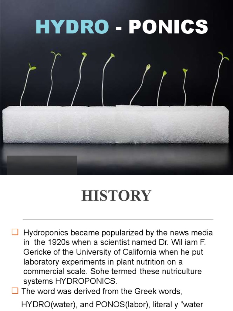 Hydroponics | PDF | Hydroponics | Chemistry