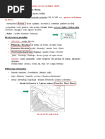 Geografija 6. Razred - Priprema Za III. Test | PDF