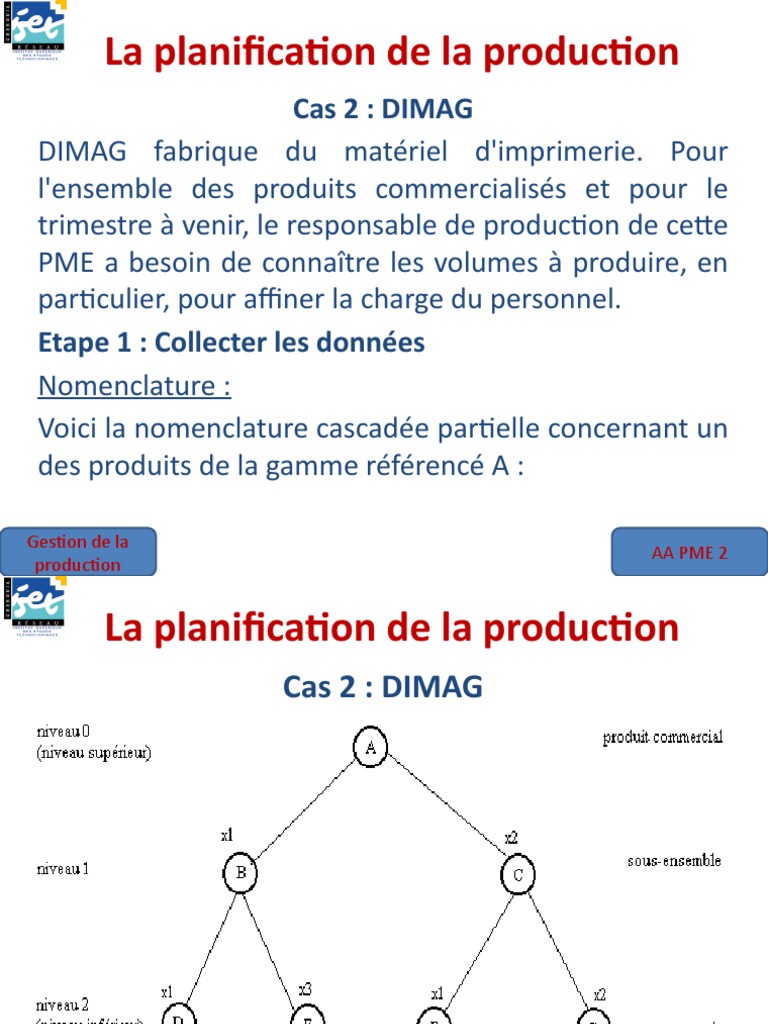 La Planification de La Production Cas DIMAG | PDF