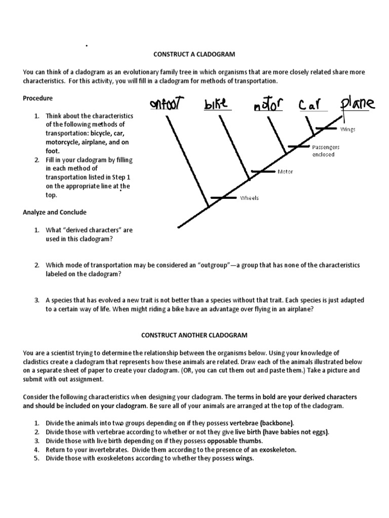 Construct A Cladogram | PDF | Species | Taxa