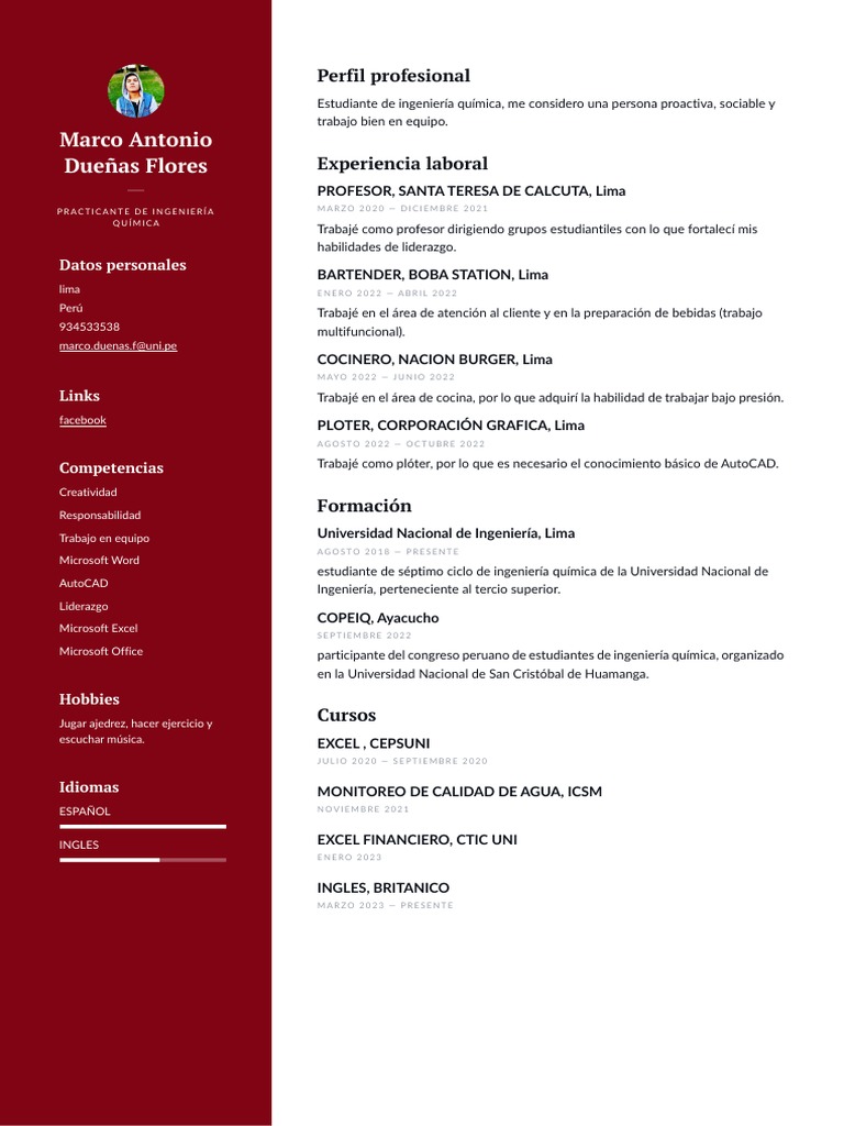 Marco - Antonio - Dueñas - Flores CV | PDF | Microsoft