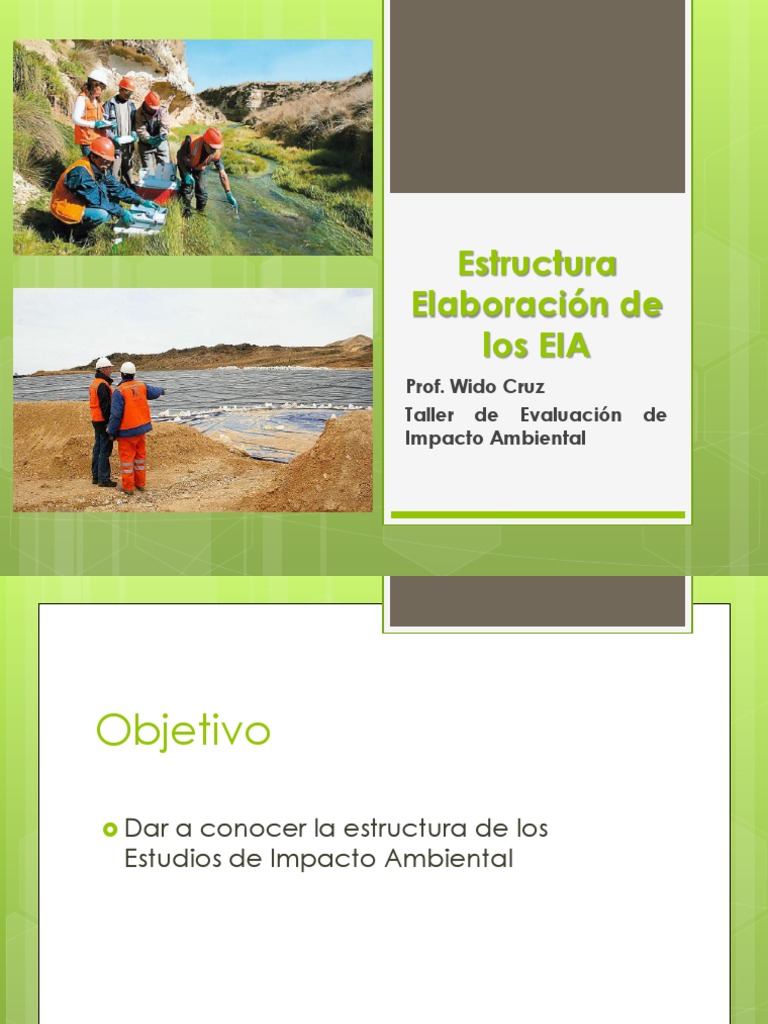 Estructura de Los EIA - DIA | PDF | Evaluación de impacto ambiental ...