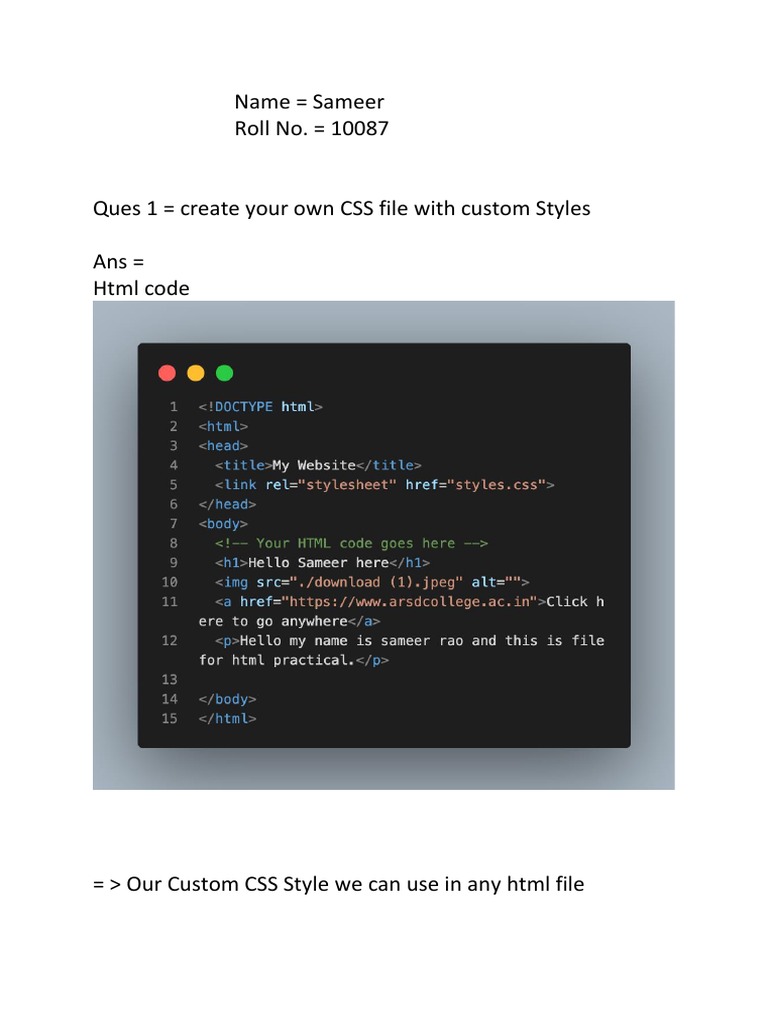 Sameer 10087 Practical | PDF