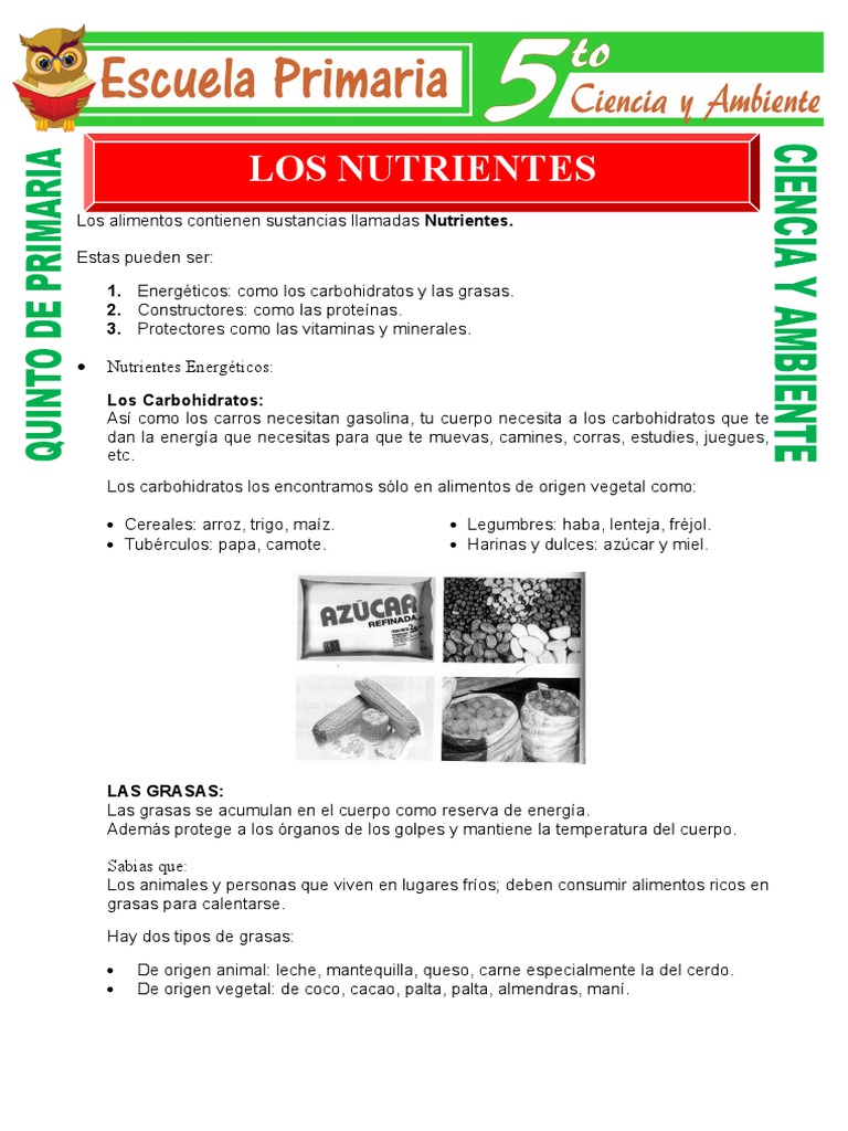 Guía de Nutrientes y Dieta Balanceada | PDF | Alimentos | Nutrientes