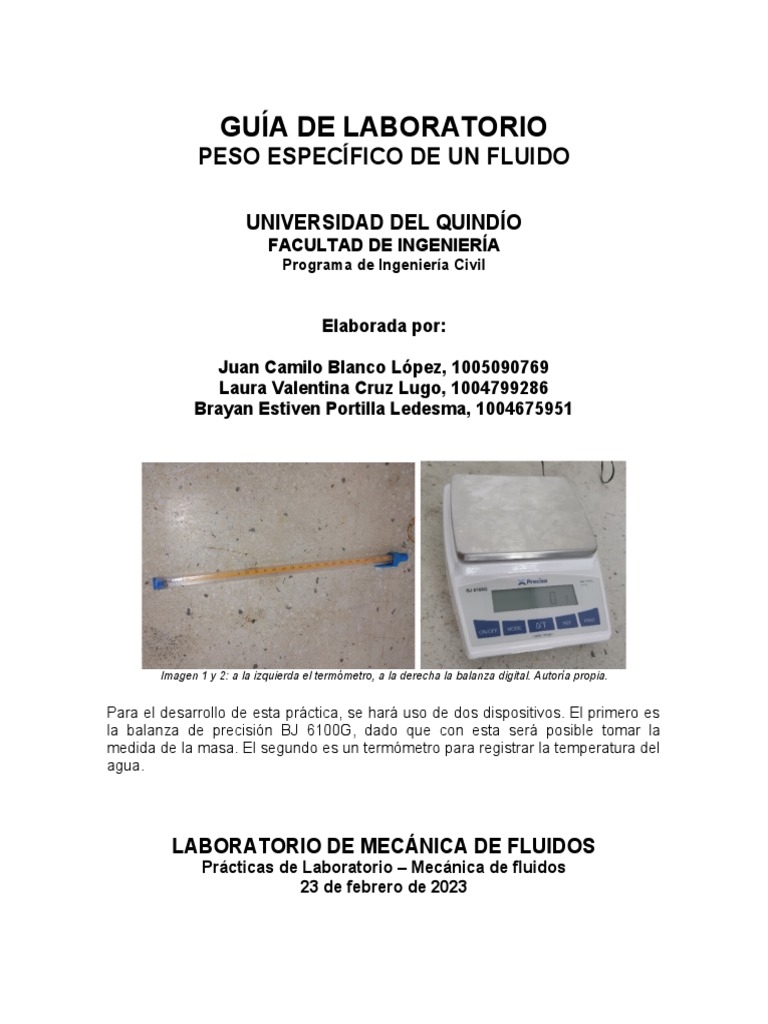 Guia - Laboratorio1 Final | PDF