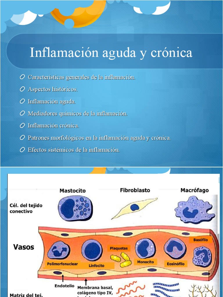 Inflamación: Aguda y Crónica Explicada | PDF | Inflamación | Biología ...