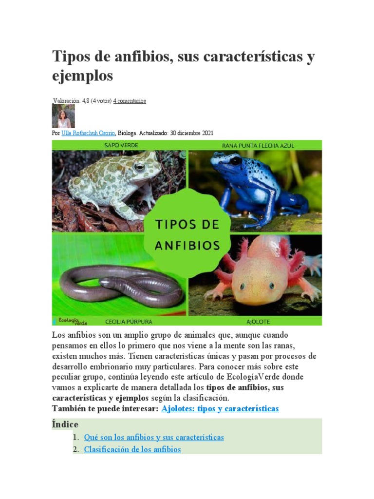 Tipos De Anfibios