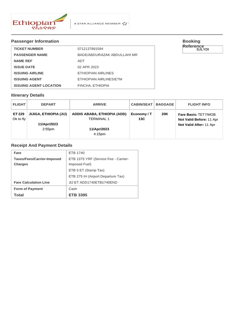 Electronic Ticket Receipt, April 11 For MR ABDURAZAK ABDULLAHI BADE ...