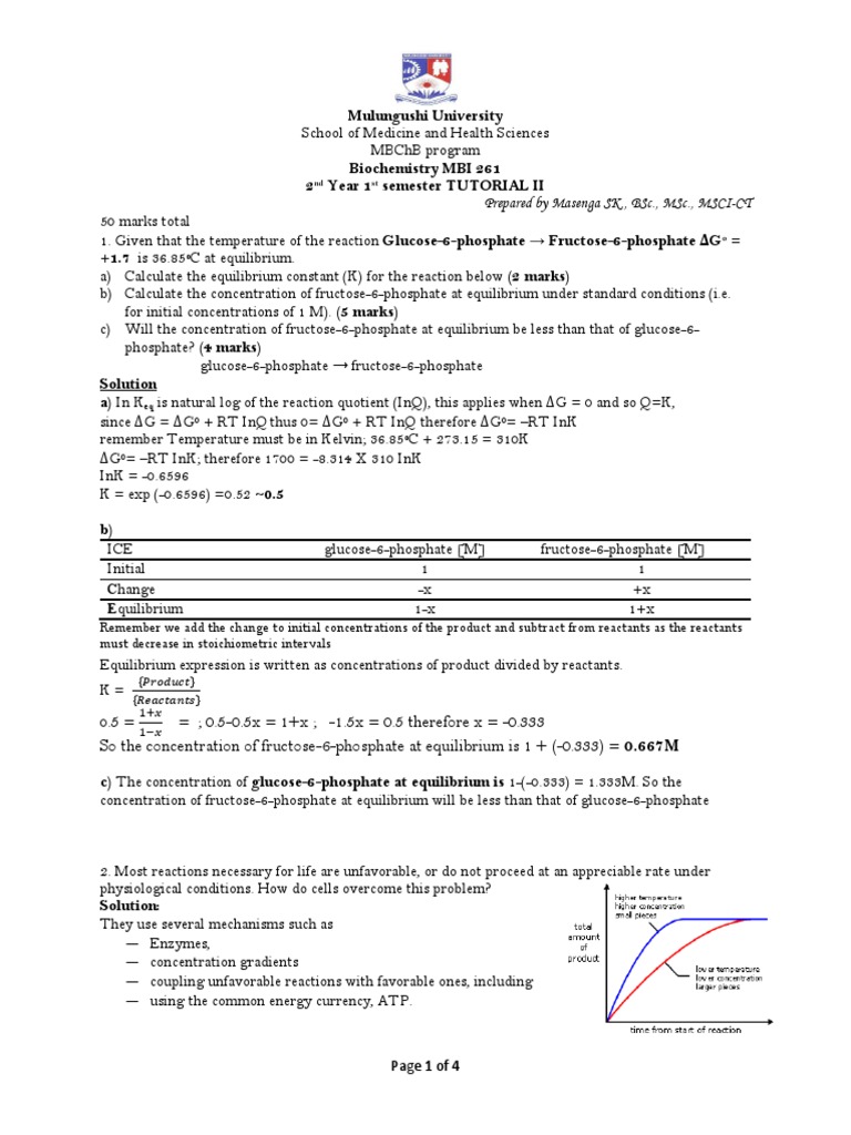 Tutorial 2 Solutions | PDF