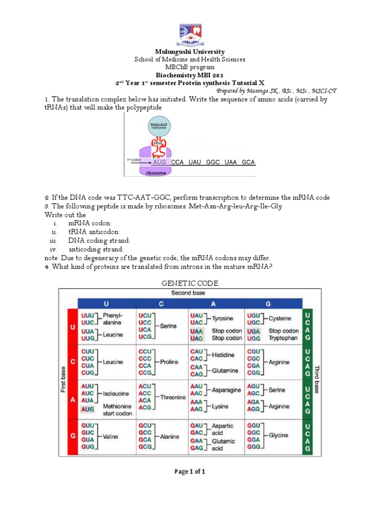 Tutorial X Protein - Qs | PDF