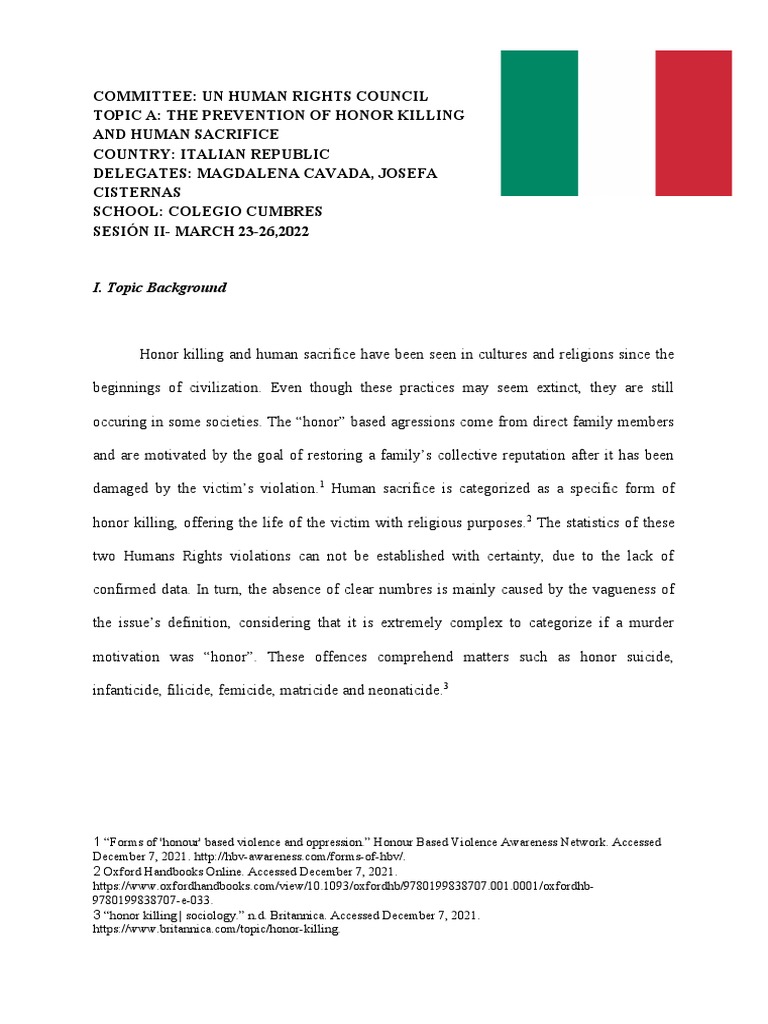 Italy UNHRC Position Paper | PDF | Violence | Violence Against Women