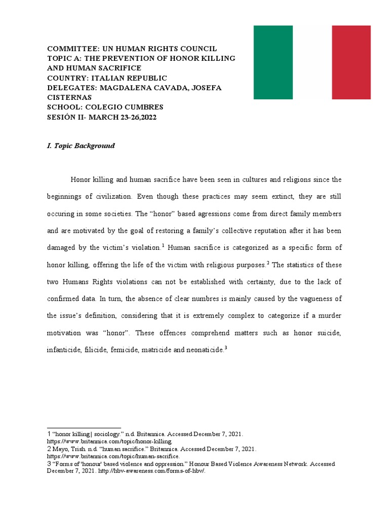 Position Paper Italy UNHRC | PDF