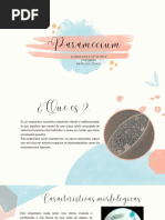 Partes Del Paramecio | PDF | Bioquímica | Química