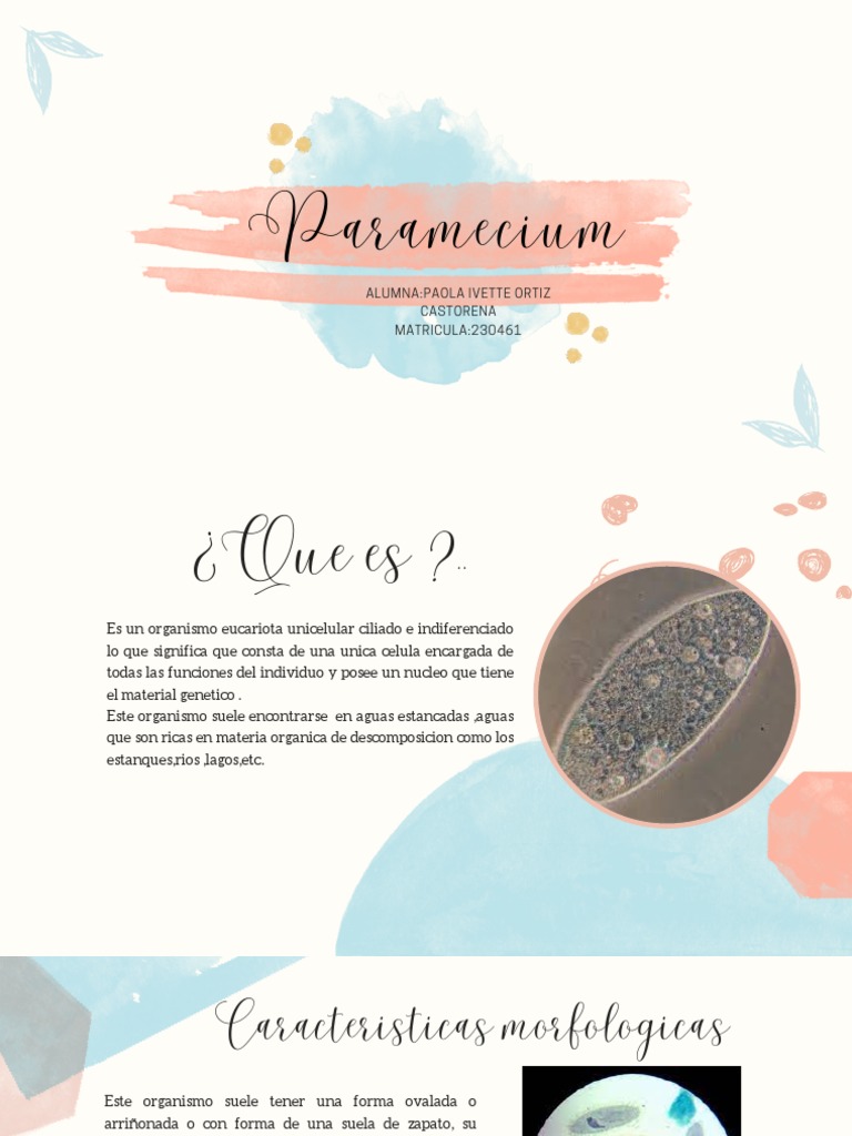 PARAMECIUM | PDF | Biología | Biología Celular