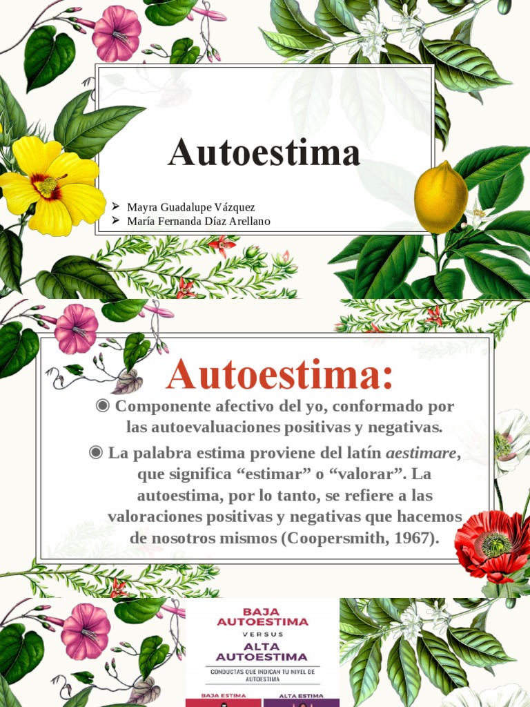 Autoestima | PDF | Autoestima | Sicología