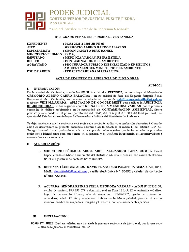 Poder Judicial: Corte Superior de Justicia Puente Piedra - Ventanilla ...