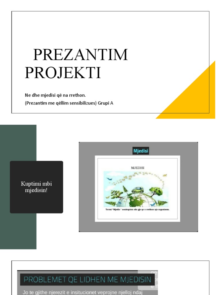 Prezantim Projekti Per Dosje | PDF
