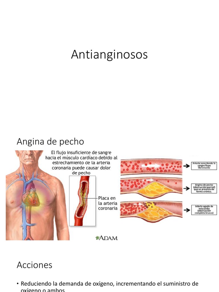 Antianginosos | PDF | Drogas | Medicina