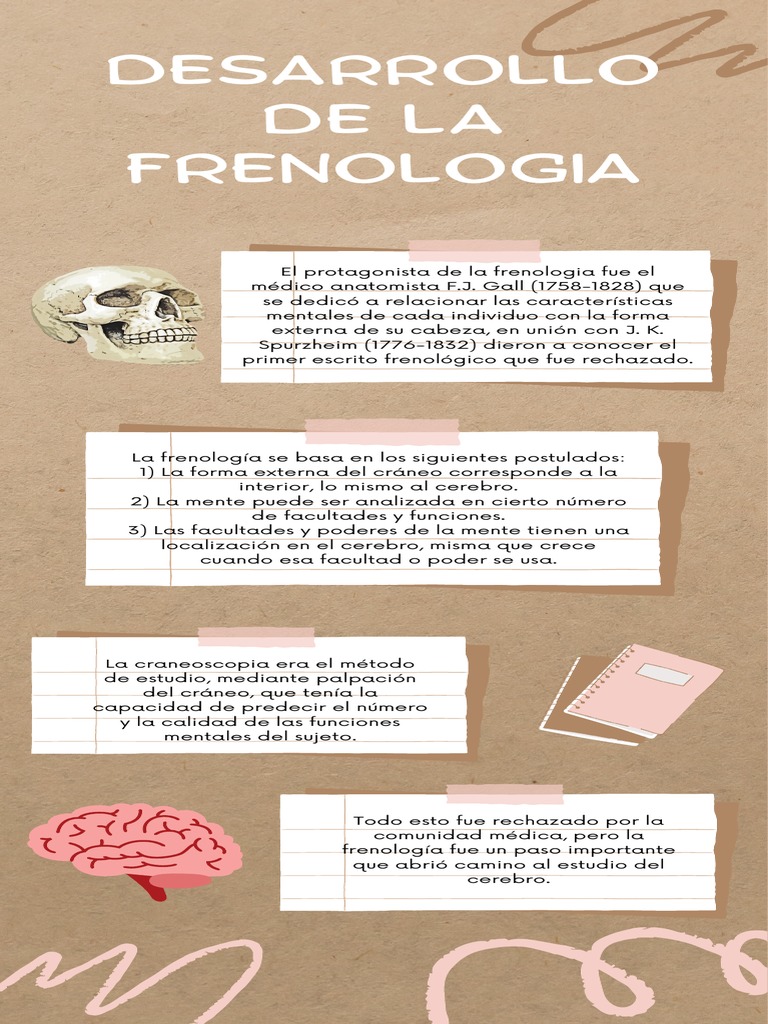 Infog5 Frenol T3 | PDF