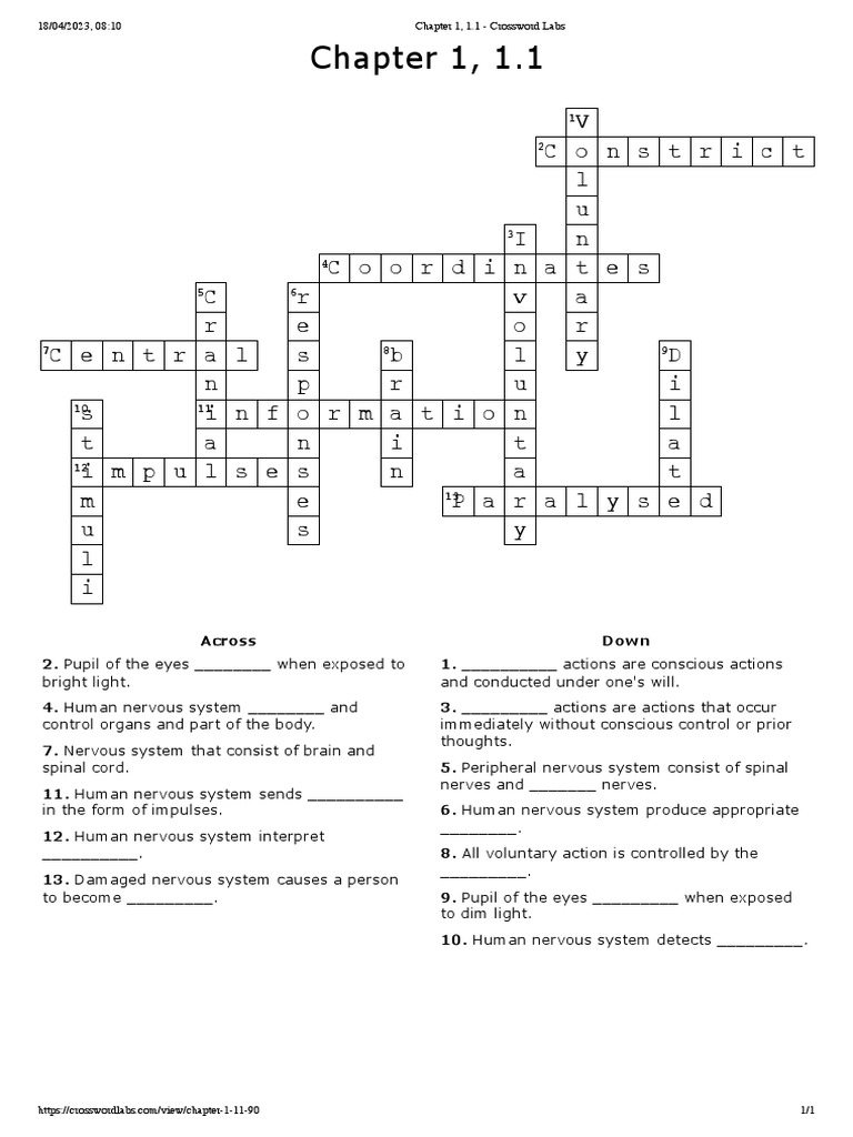 Chapter 1, 1.1 - Crossword Labs Answer | PDF