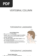 Cervical Spine Goniometry Guide | PDF | Vertebral Column | Vertebra
