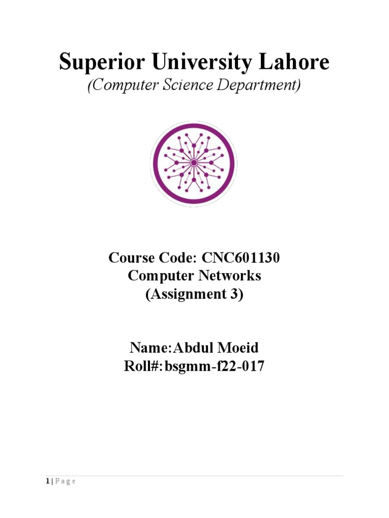 Computer Networks Assignment Overview | PDF