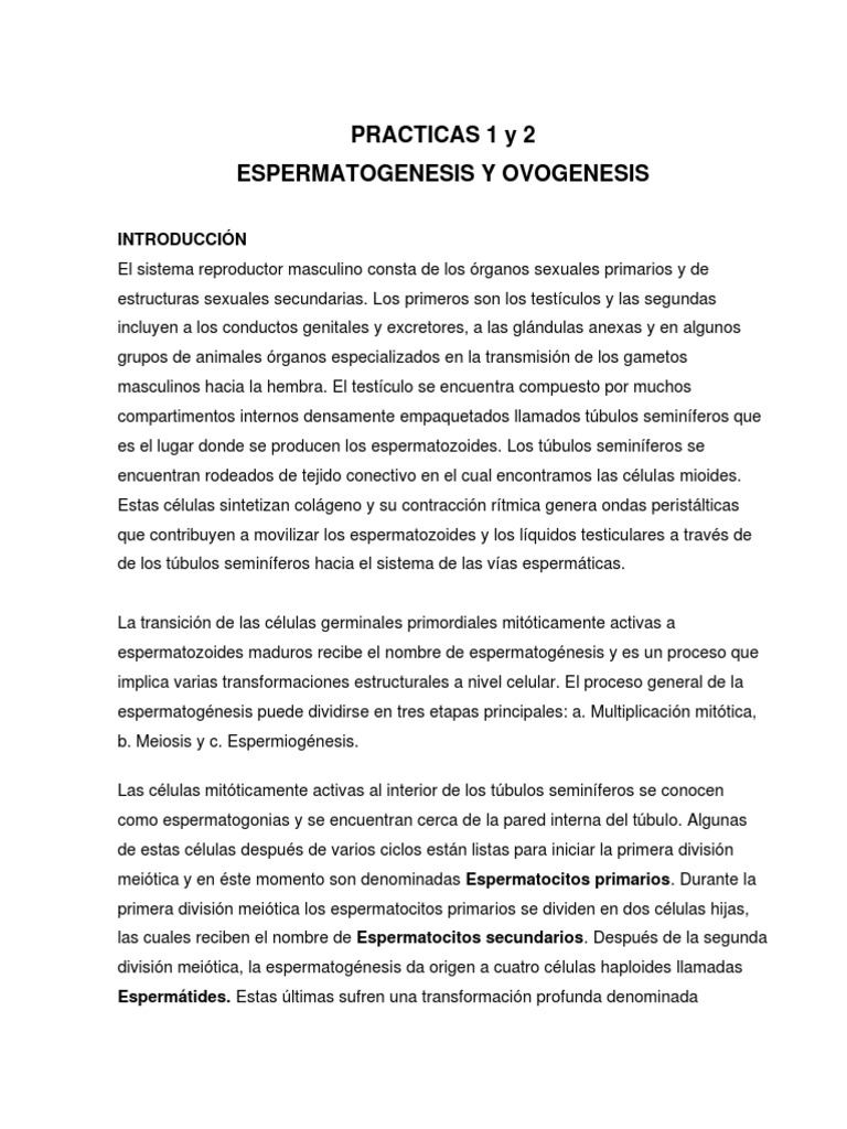 Practicas 1 Y 2 Espermatogenesis Y Ovogenesis: Introducción | PDF | Biología | Especialidades ...