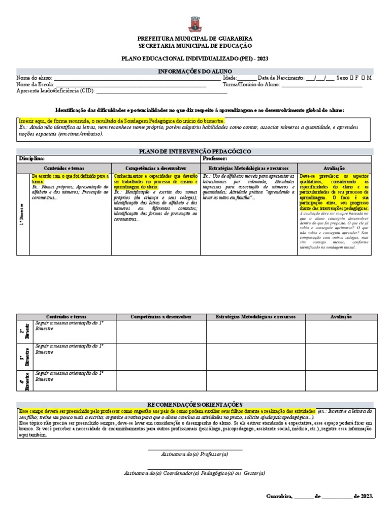 Modelo - Planejamento Educacional Individualizado (Pei) - 2023 | PDF
