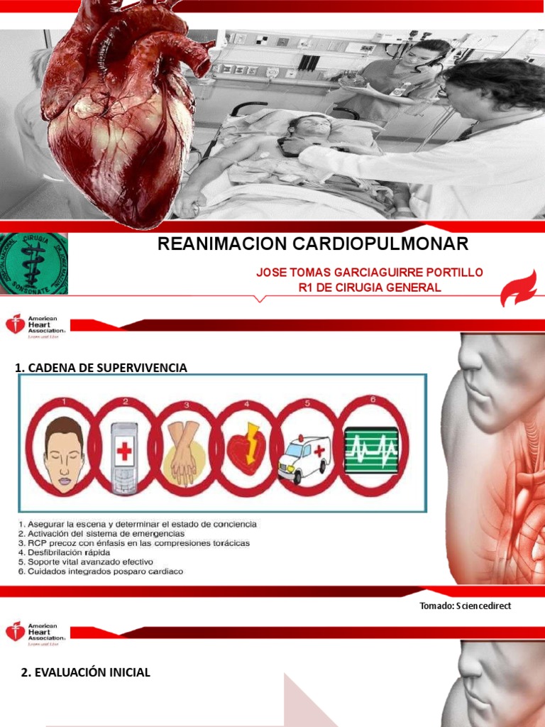 Soporte Vital Basico BLS Exposicion | PDF | Reanimación cardiopulmonar | Paro cardíaco