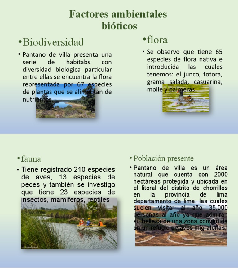 Factores bióticos y diversidad biológica del Pantano de Villa | PDF ...