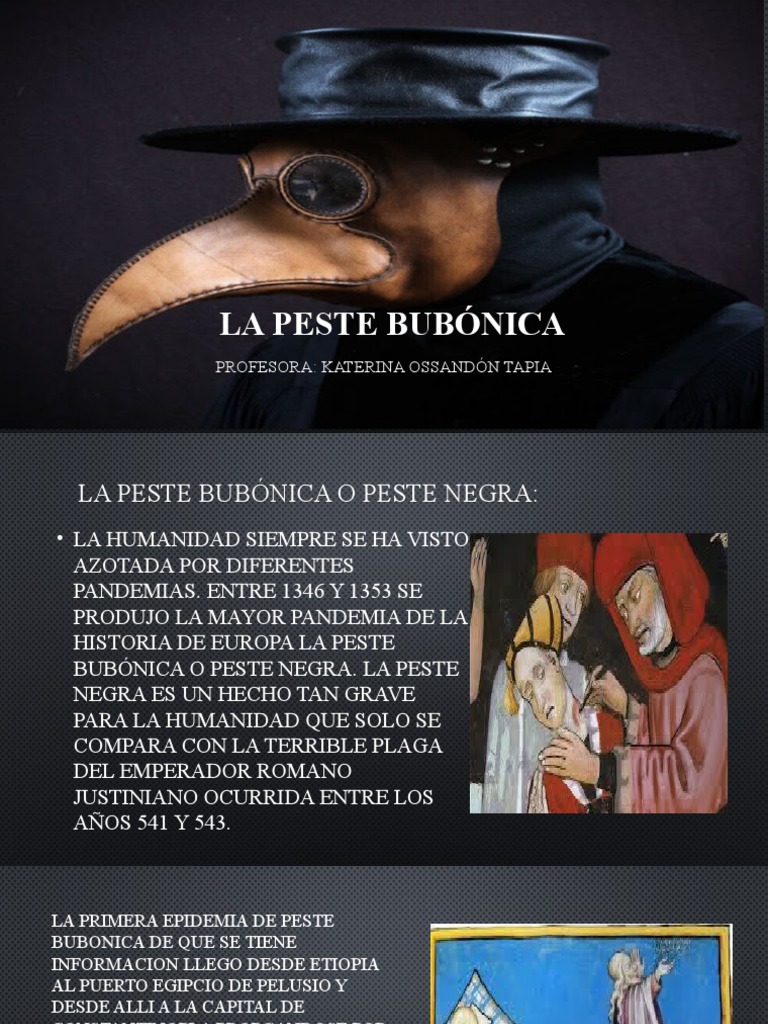 La Peste Bubónica | PDF | Muerte negra | Epidemiología