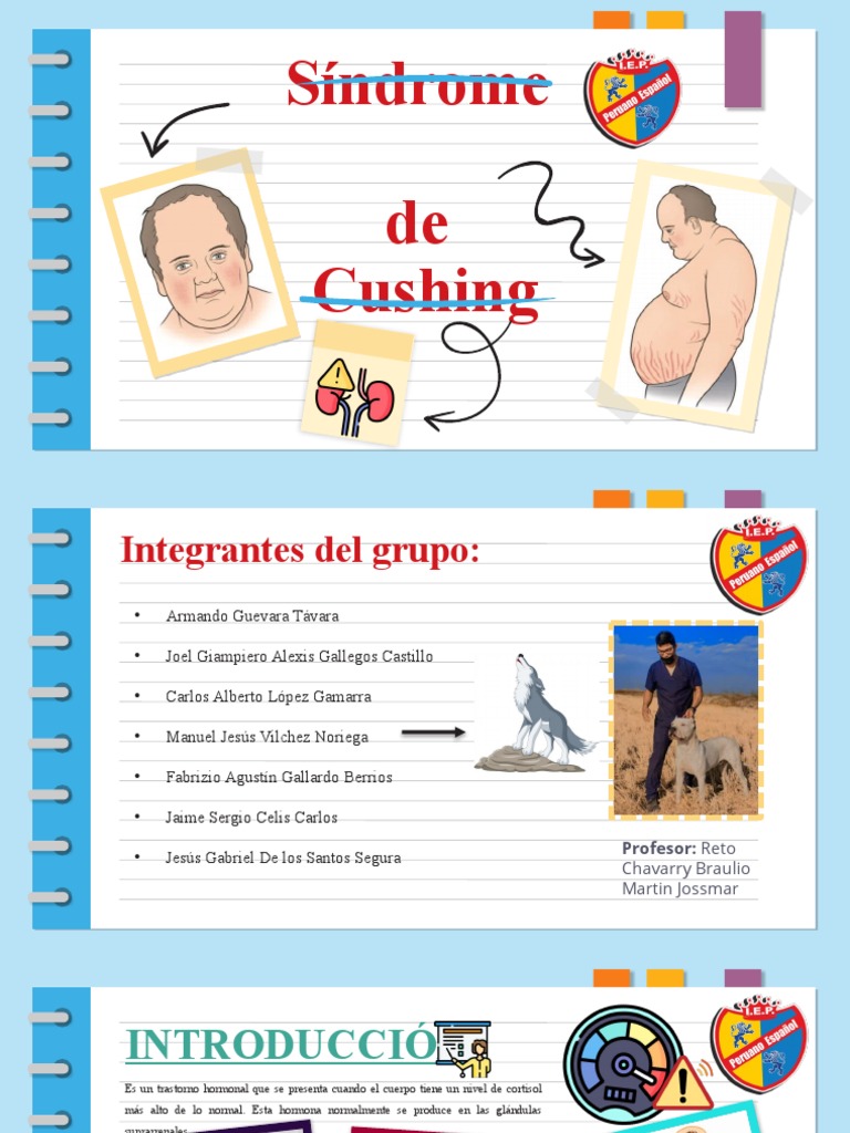 El síndrome de Cushing: causas, síntomas y diagnóstico | PDF | Hormona adrenocorticotrópica ...