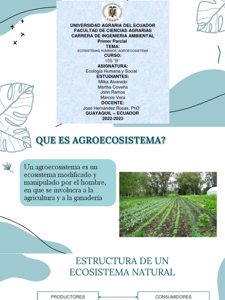 Agroecosistemas | PDF