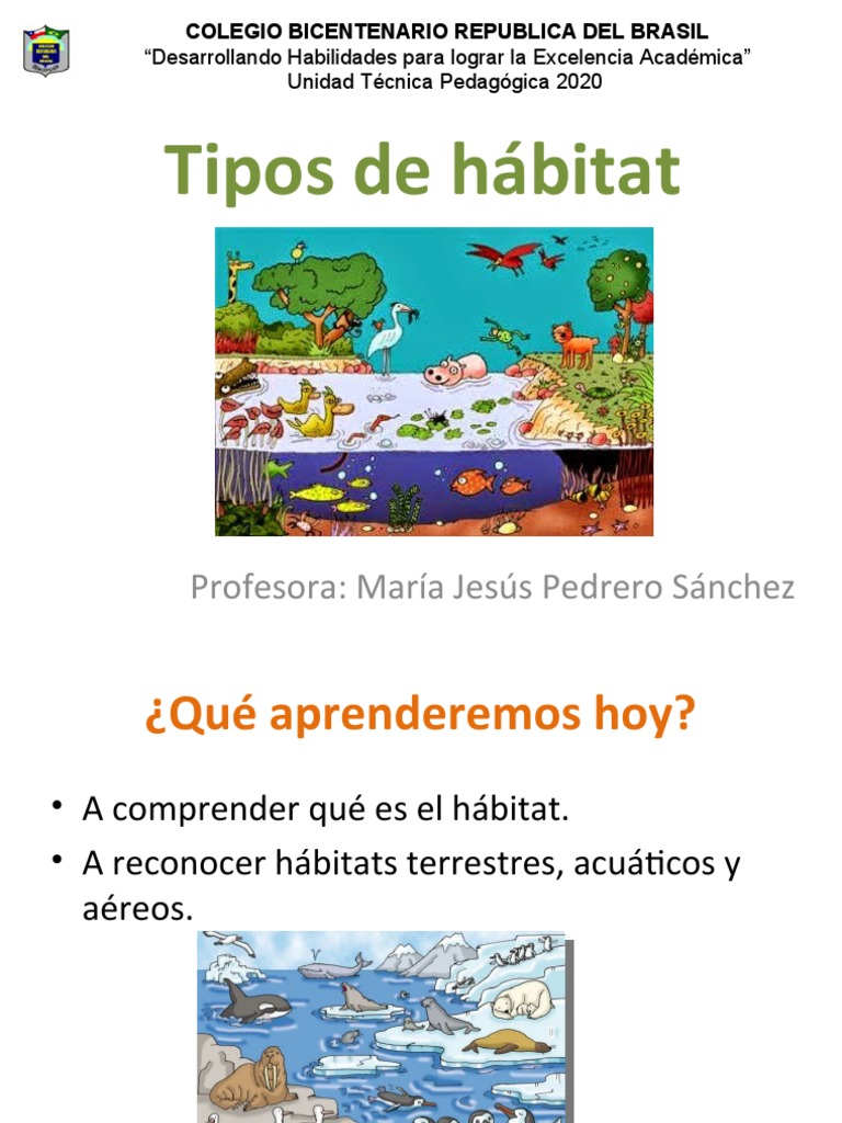 Tipos de Hábitat Final | PDF