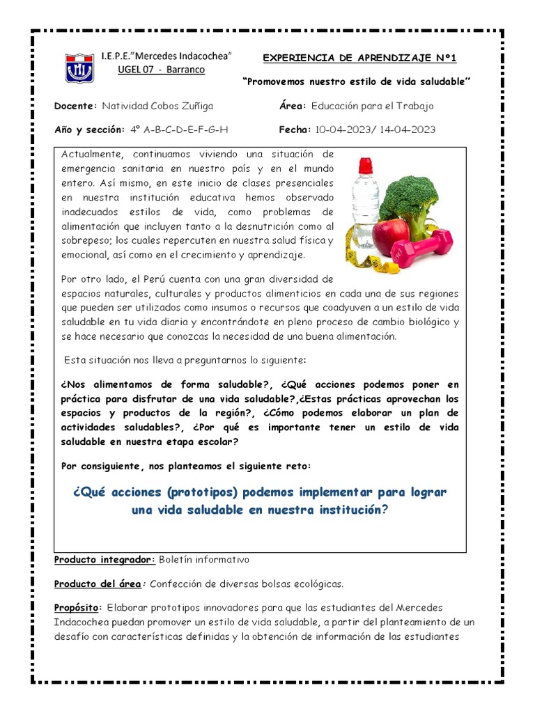 Promoviendo estilos de vida saludables | PDF | Aprendizaje