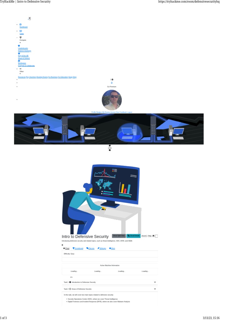 TryHackMe Intro To Defensive Security | PDF