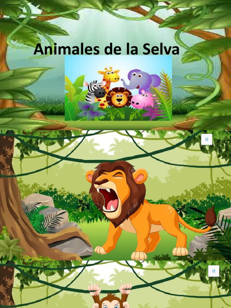 Animales de La Selva | PDF