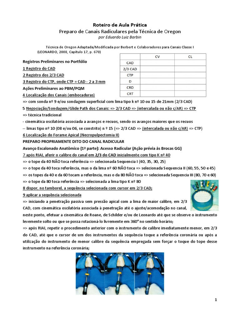 05 Roteiro PBM Tecnica Oregon Bio | PDF