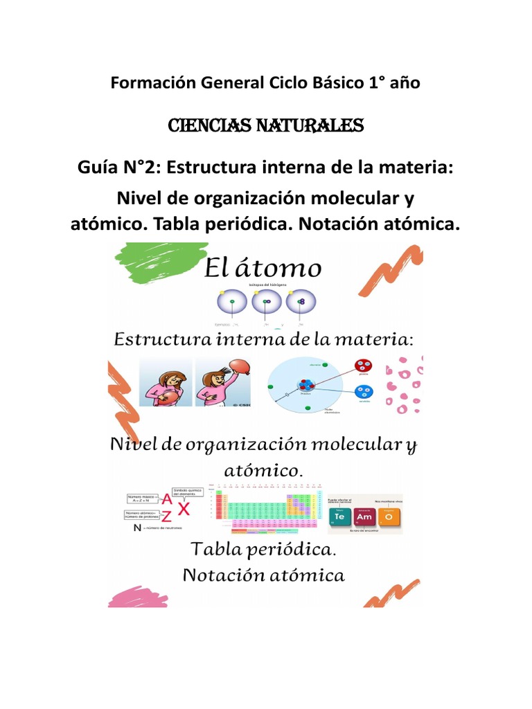 Guía N°2: Estructura Interna de La Materia: Nivel de Organización ...