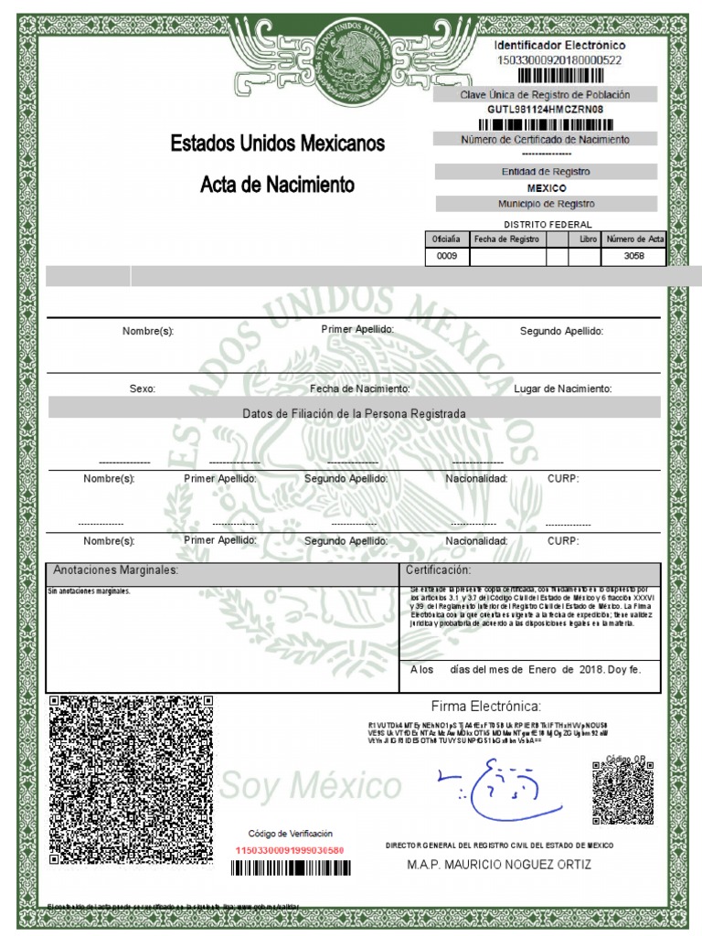 Acta de Nacimiento (Editable - en Blanco) ... | PDF | Gobierno | Comunicación escrita