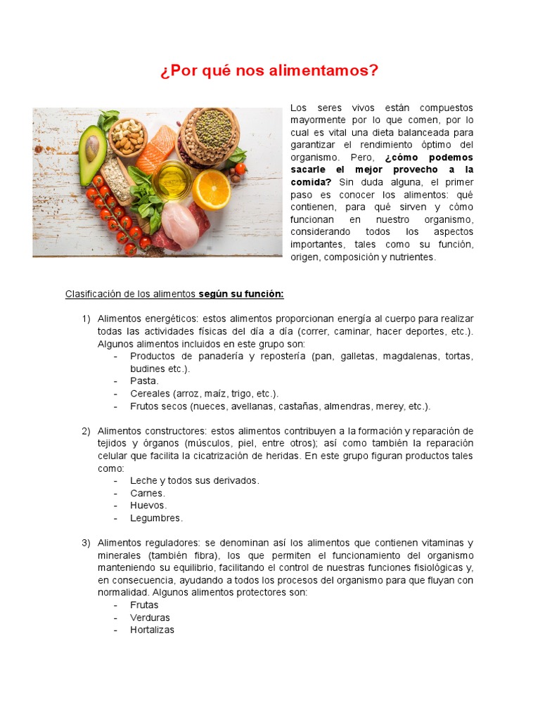 LECTURA 2 ALIMENTACIÓN Y NUTRICIÓN (Funciones) | PDF | Alimentos | Panes
