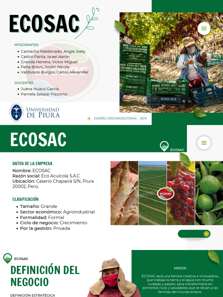 Trabajo Final Ad3 - Ecosac | PDF | Economias | Negocios económicos