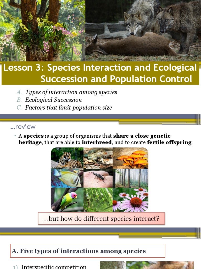 Species Interaction | PDF | Ecology | Ecosystem
