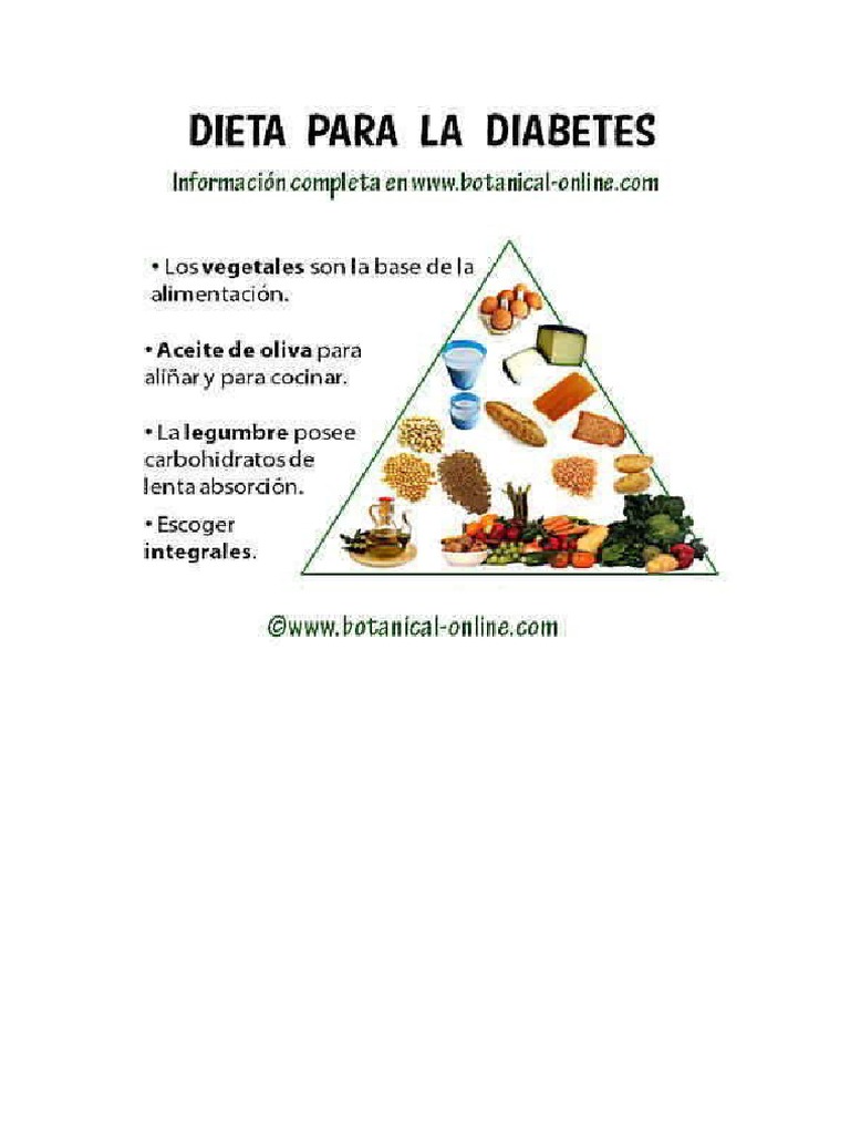 Dieta Para La Diabetes Pdf