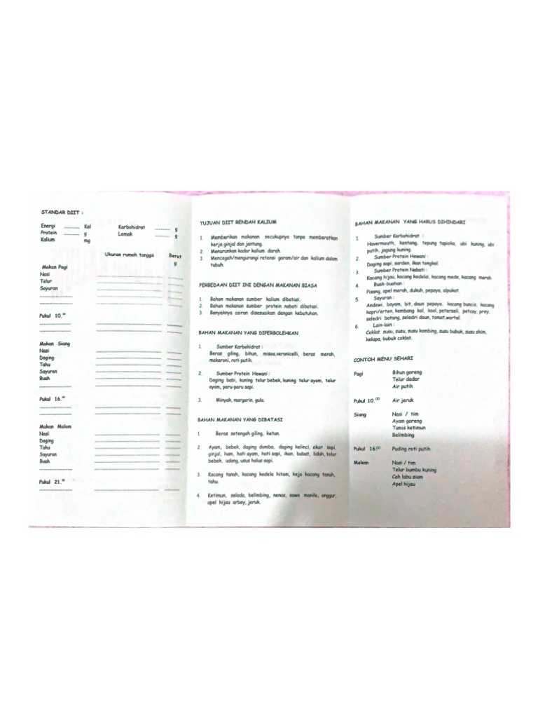 Diet Rendah Garam Rendah Kalium | PDF