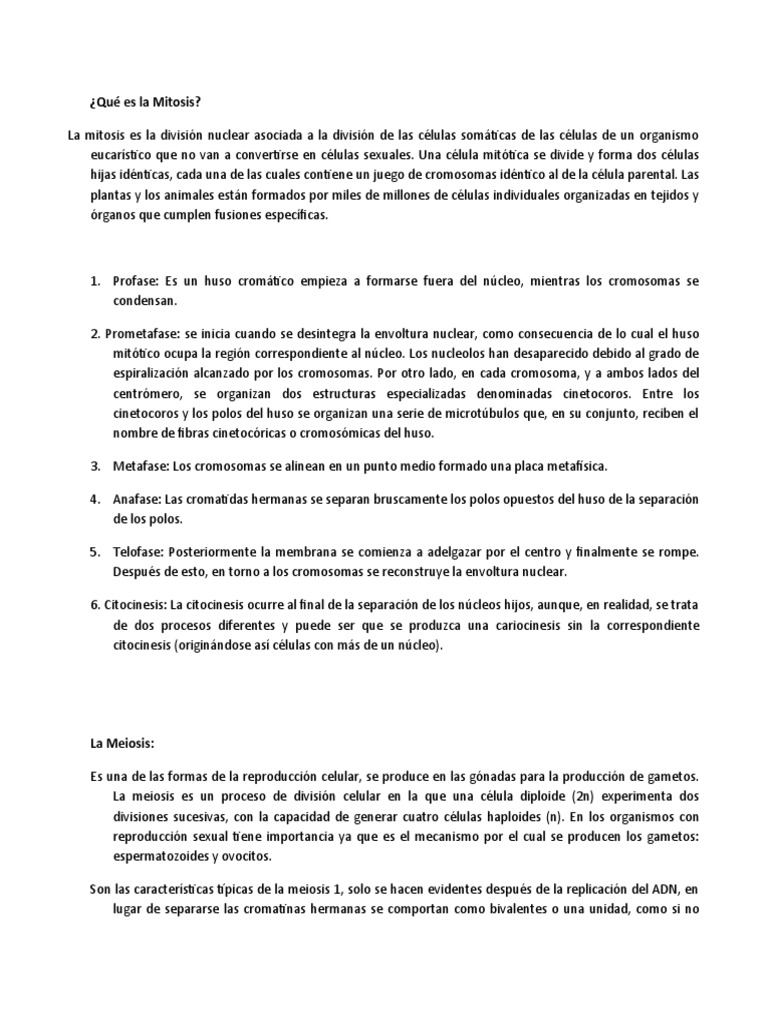 Primera Ley de Mendel | PDF | Dominancia (Genética) | Mitosis
