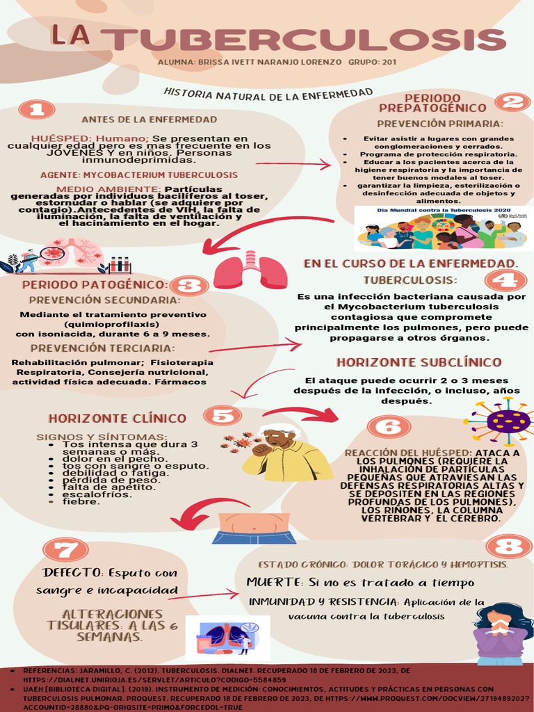 Infografía sobre la Tuberculosis | PDF | Tuberculosis | Tos
