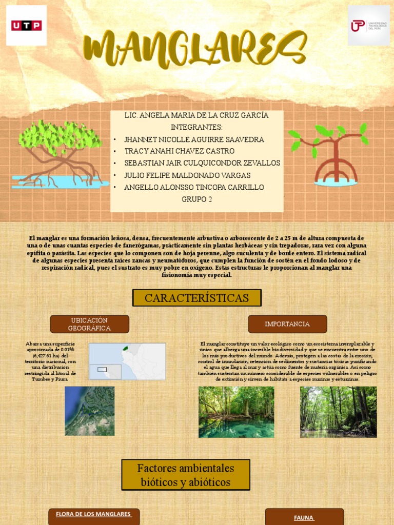 Untitled | PDF | Mangle | Biogeoquímica